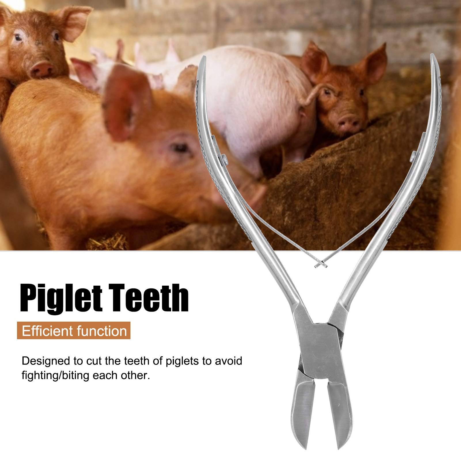 plplaaoo Stainless Steel Straight Head Piglet Teeth Cutter, Pig Tooth Nipper, Piglets Teeth Clipper, Pig Tooth Scissor Piglet Clipper Forceps, Pig Tooth Nipper Piglet Teeth Cutter Piglets Tooth pl
