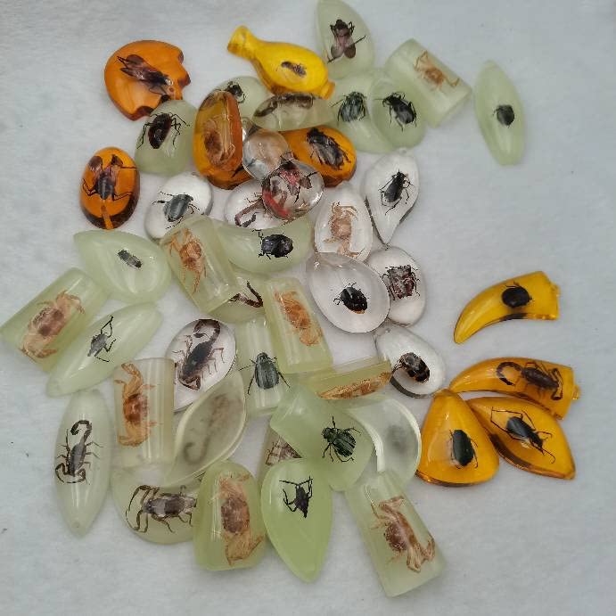 Multiple Psc Insect Amber Fossils, Luminous Amber Fossil Pendants, Educational and Scientific Amber Collections (12Pcs)