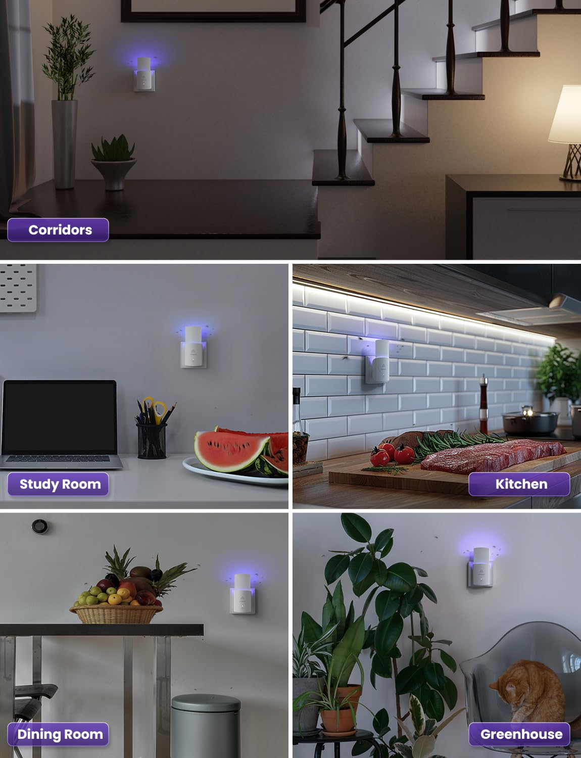 YISSVIC Flying Insect Trap Plug-in Mosquito Killer Indoor Gnat Moth Catcher Fly Tapper with UV Attractant Night Light Catcher for Home Office White