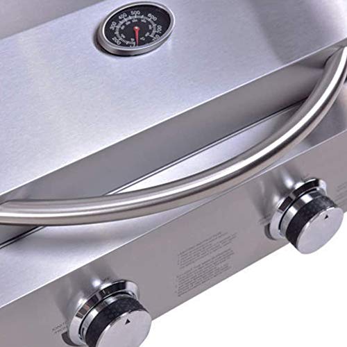 Thaweesuk Shop New 2 Burner Portable Stainless Steel BBQ Table Top Propane Gas Grill Outdoor Camp 22β x 18β x 15β