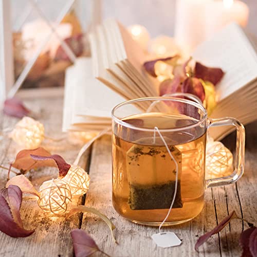 LANSKLBD - 200 Pcs Disposable Tea Bags for Loose Leaf Tea, Tea Filter Bags for Loose Tea, Wood Pulp Material, Empty Tea Bags (2.36 x 3.15 Inch))
