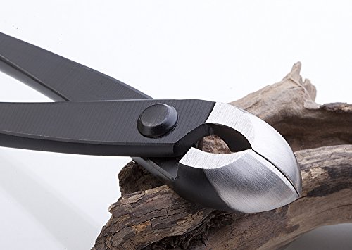 Round Edge Cutter Beginner Bonsai Tools Multi - Function As Branch Cutter and Knob Cutter 205 Mm (8") Carbon Steel