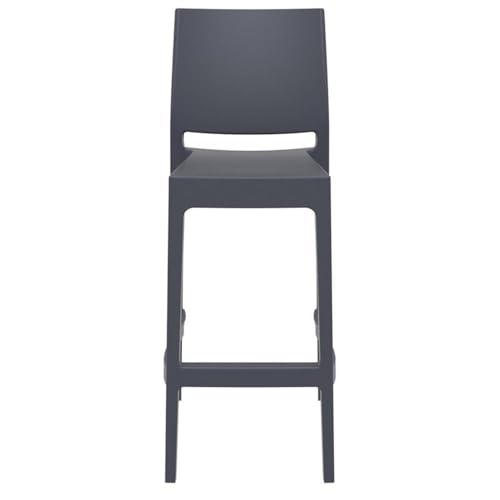Pemberly Row 29.5" Resin Barstool in Dark Gray Finish - Set of 2