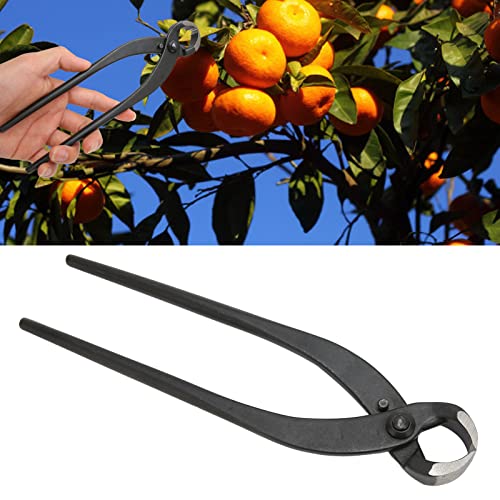 MIGONG Bonsai Knob Cutter, Professional Branch Cutter Manganese Branch Cutting Tool for Even Flowers Fruit Trees Bonsai Garden Plants House Plants 8.3In