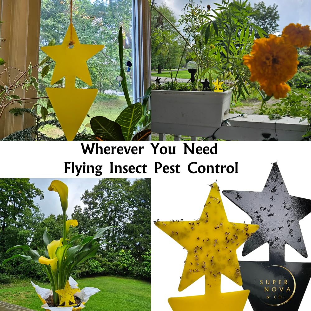 Super Nova & Co. 30pk Sticky Fruit Fly Traps Star-Shaped Indoor Plants Outdoor Garden Double-Sided Adhesive Flying Gnat Insect Pest Management Catcher Non Toxic Odorless Waterproof UV-Resistant 3x5β