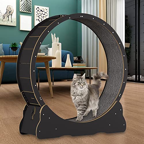 Pet Cat Running Wheel Treadmill Sport Climbing Frame Mute with Carpeted Runway Indoor Toys Exercise Wheel for Fitness Workout, Black, L