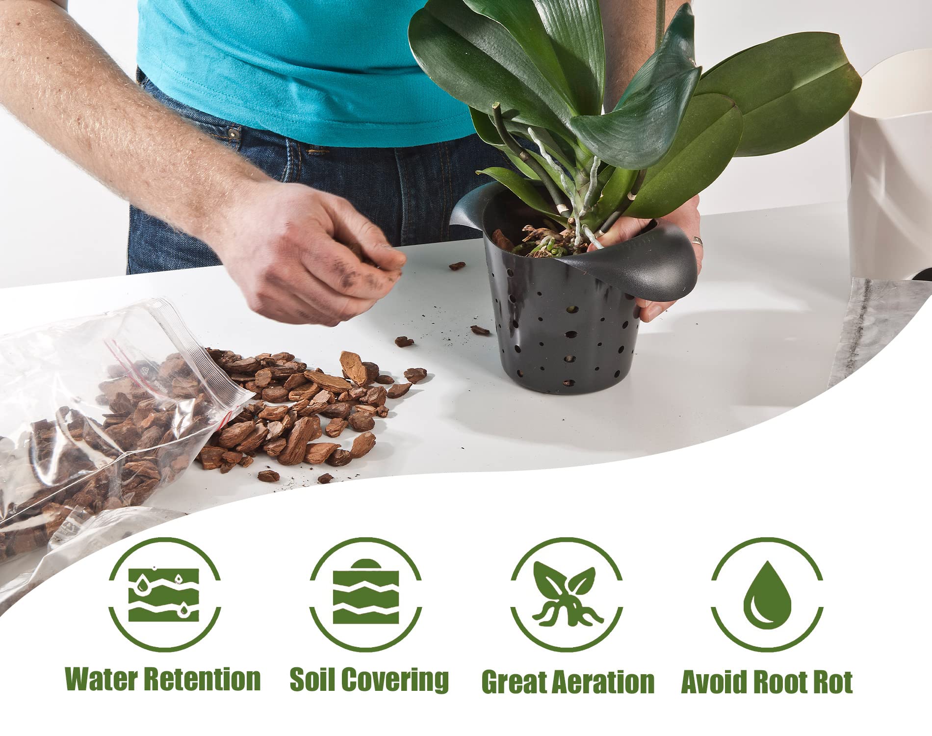 Orchid Bark for Plants Organic Pine Bark for Proper Root Development for Phalaenopsis Cattleyas Dendrobiums Oncidiums Paphiopedilums and More (1qt Medium(12-18mm))