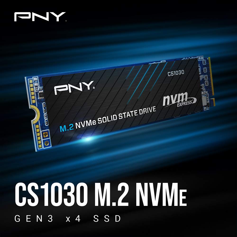 PNY CS1030 250GB M.2 NVMe PCIe Gen3 x4 Internal Solid State Drive (SSD) CS900 250GB 2.5" SATA III Internal Solid State Drive (SSD) Bundle