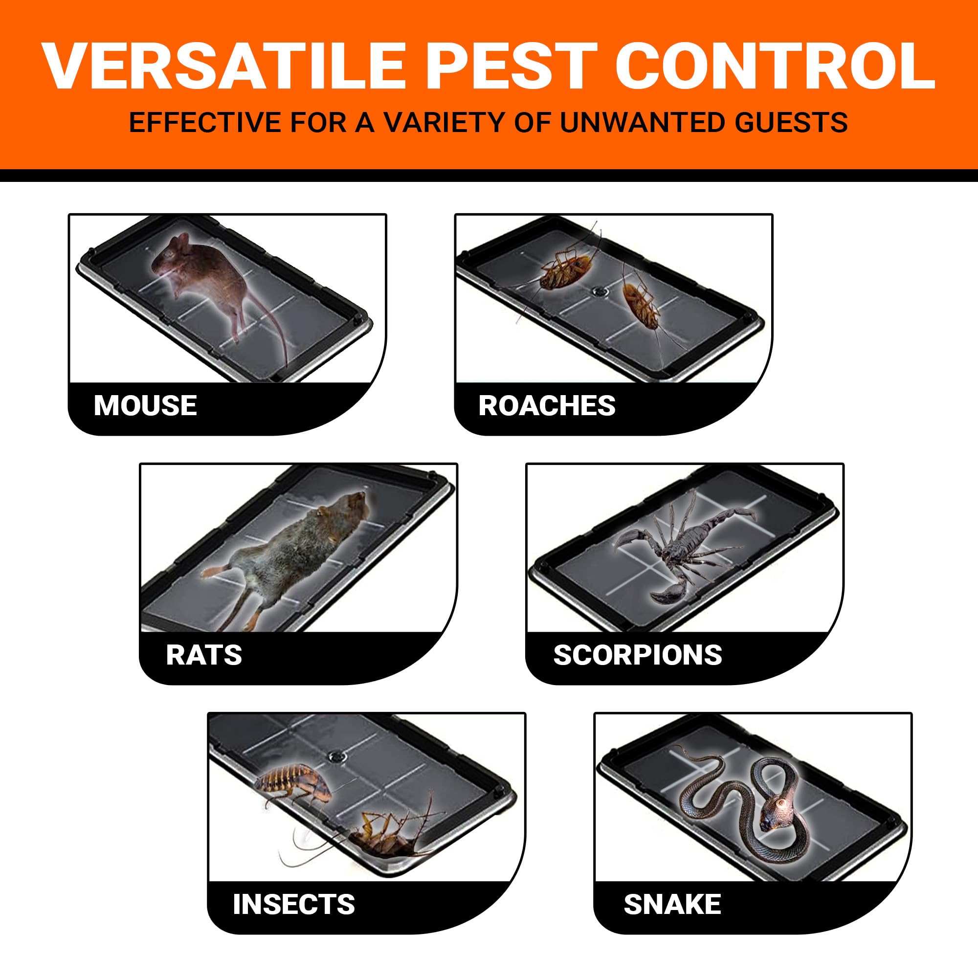 PESTQUEST 12 Pack Glue Mouse Traps Indoor for Home, Large Glue Traps for Mice and Rats, Pre-Baited Peanut Scent Sticky Rat Traps for Inside House, Snake, Lizard, Insect & Spiders, Pet & Family Safe