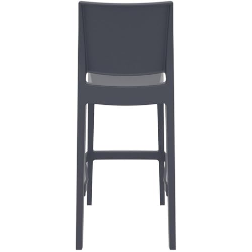 Pemberly Row 29.5" Resin Barstool in Dark Gray Finish - Set of 2