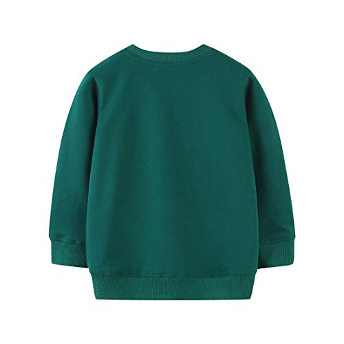 HOMAGIC2WE Baby Boy Cute Cotton Sweatshirts Kids Long Sleeve Fall Sport Pullover Shirt Casual Tops 3T