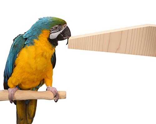 Parrot Chew Stix (Parrot Chew Stix - Set of 6 Parrot Toys)