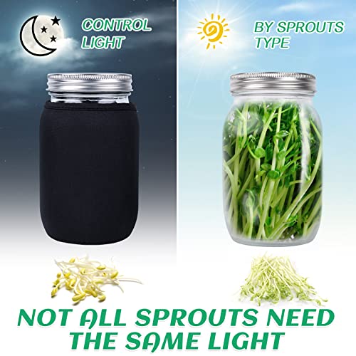 Seed Sprouting Jar Kit with 1 Wide Mouth Mason Jars Bean Sprouts Growing Kit Microgreens Growing Jar with Mesh Screen Lids Sprouter Sprouts Maker for Growing Broccoli, Alfalfa, Mung Bean
