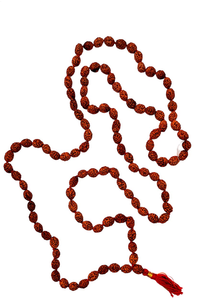 M FRANCISCO Genuine Natural 4 Mukhi/Four Face Rudraksha Mala 108 Beads Meditation Prayer Japa Mala, Necklace. 10-12 MM Beads Size