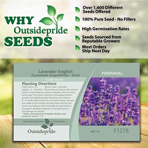 Outsidepride Lavandula Angustifolia True Lavender English Herb Garden Plant Seed - 5000 Seeds