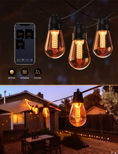 Outdoor String Lights with Dimmer - 100Ft Led Patio Lights App Control Commercial Grade Waterproof Outside Light with Timer 3 Modes 50 S14 Edison Vintage Shatterproof Bulbs for Bistro Garden Backyard
