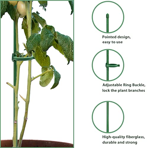 Plant Stakes Green Adjustable Garden Single Stem Plant Support Stakes,19Pcs Plant Support Sticks with Rings for Indoor and Outdoor Plants,Flowers,Tomatoes-18 inches