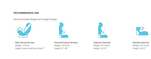 Graco 4Ever Extend2Fit 4 in 1 Car Seat | Ride Rear Facing Longer with Extend2Fit, Clove, 1 Count (Pack of 1)