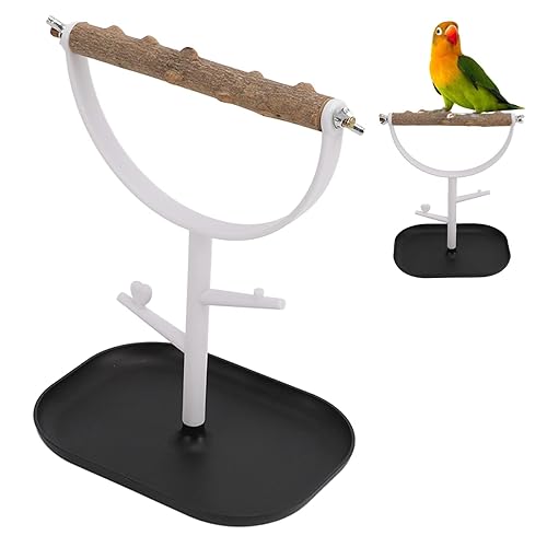 Parrots Stand, Portable Desktop Bird Playstand Parrots Training Stand for Parakeets Cockatiels Lovebirds Bird Training Stand Table Top Bird Perch Bird Playground Bird Stand Parrot Perch Stand