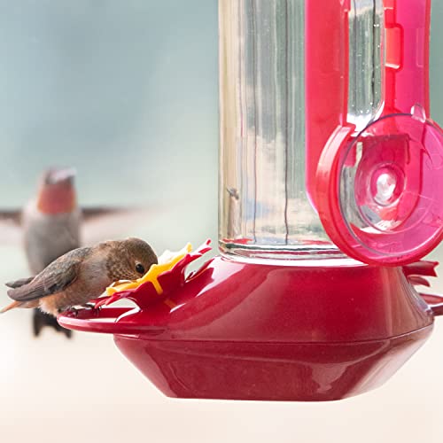 Perky-Pet 455-2 Mounted 445-2 Glass Window Hummingbird Feeder, Red β 14 oz