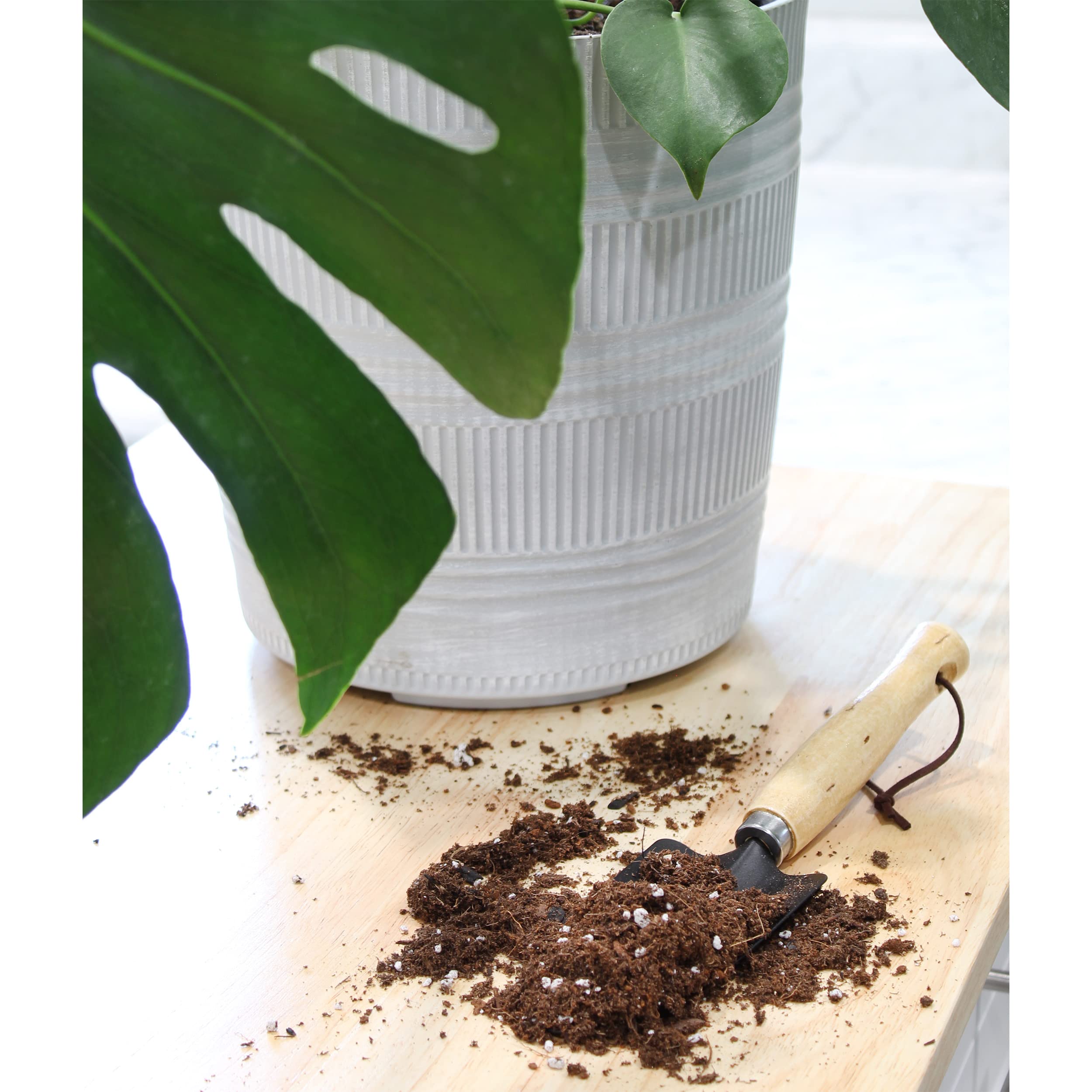Monstera Houseplant Potting Soil Mix (8 Quarts), Custom Blend for Growing and Repotting