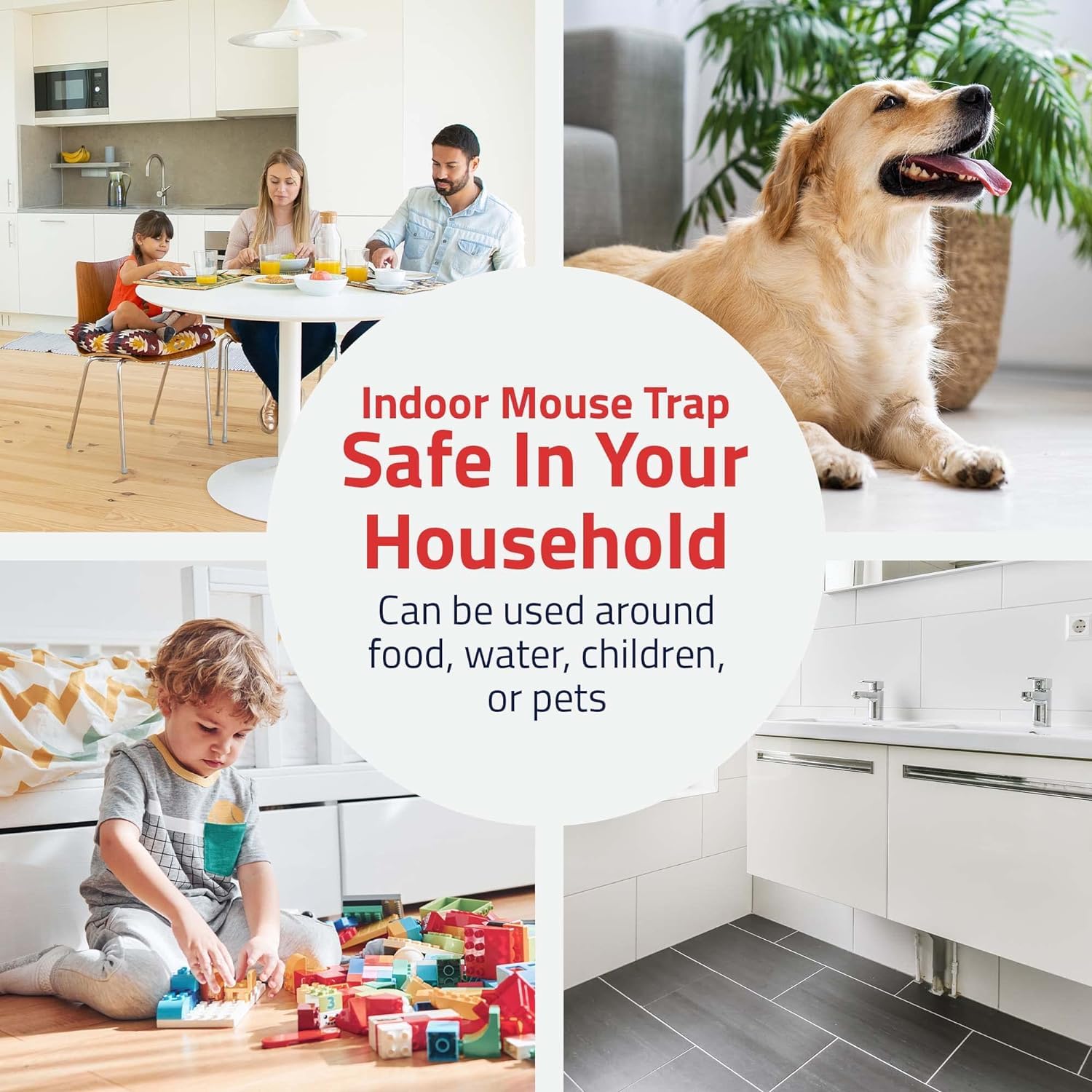 Windowless Tin Cat Multi-Catch and Release Humane Live Mouse Trap with Clear Window Lid for Indoor and Outdoor Use (Silver, 2pk)