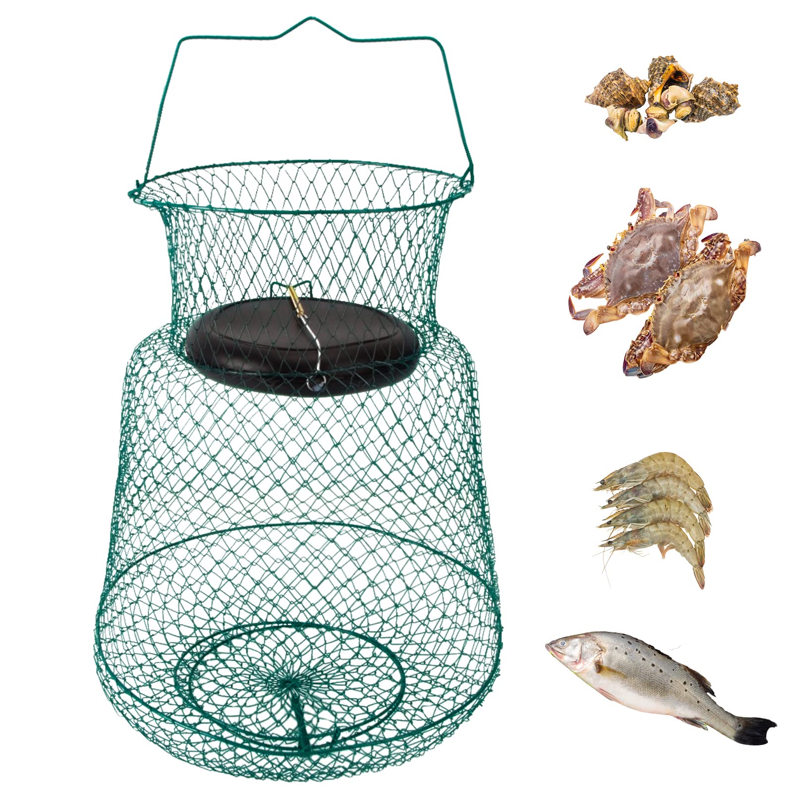 MoiShow Floating Fish Basket,Collapsible Fishing Basket (Green,13Inch * 18Inch) Fish Baskets Fishing Net Cage