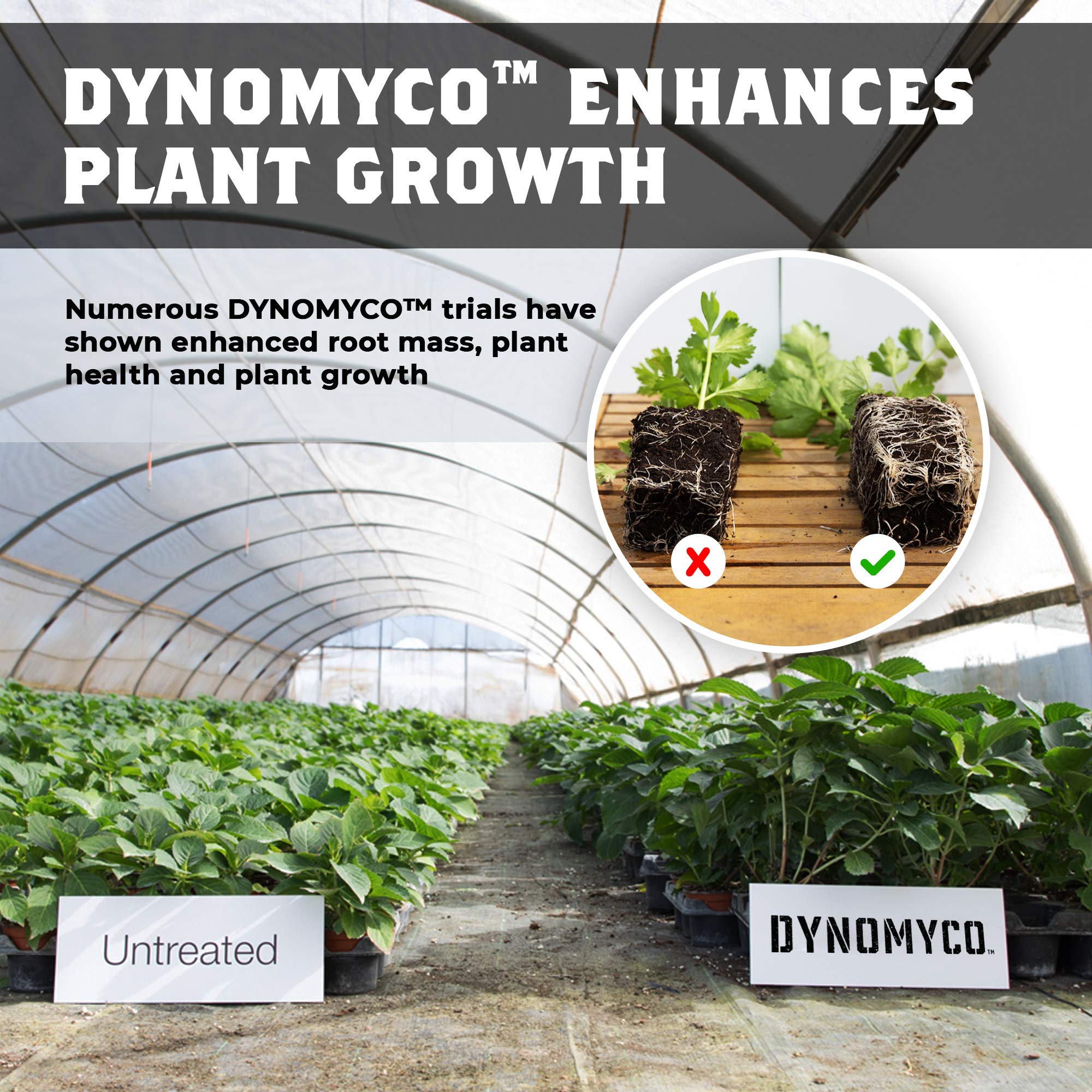 Mycorrhizal Inoculant by DYNOMYCO β High Performing Strains β Concentrated Formula β Improves Nutrient Uptake β Increases Plant Yields Enhances Resilience to Stress Saves Fertilizer (3.5 Oz / Up to 20 Plants)