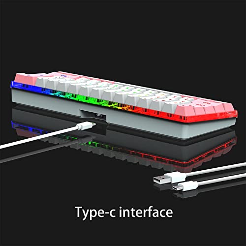 Qonioi Mechanical Keyboard Wired RGB Rainbow Backlit Keyboard, Keyboard Mechanical Gaming Keyboard 61 Keys for Computer/Laptop, PC Ergonomic