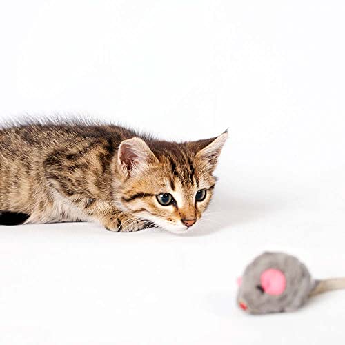 Sheba Perfect Portions Premium Cuts in Gravy Cat Food 4 Flavor 8 Can Sampler, (2) Each: Bistro Chicken Alfredo, Tuna, Salmon, Chicken (2.6 Ounces) - Plus Catnip Toy and Fun Facts Booklet Bundle