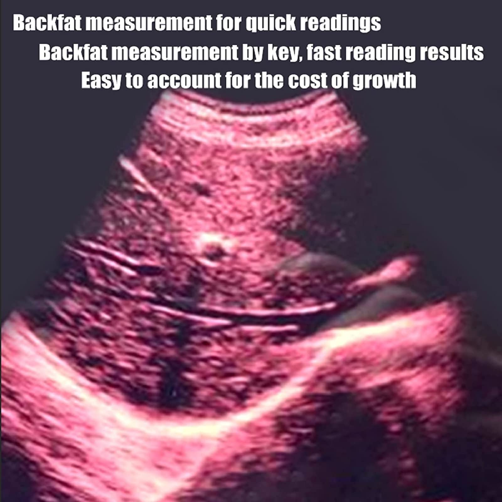 Pregnancy Test Ultrasound Scanner Veterinary Machine Portable B-Ultra Sound Scanner Farm Animals Pregnancy Mechanical Sector scanning Probe for Sheep, Pig Pregnancy Test
