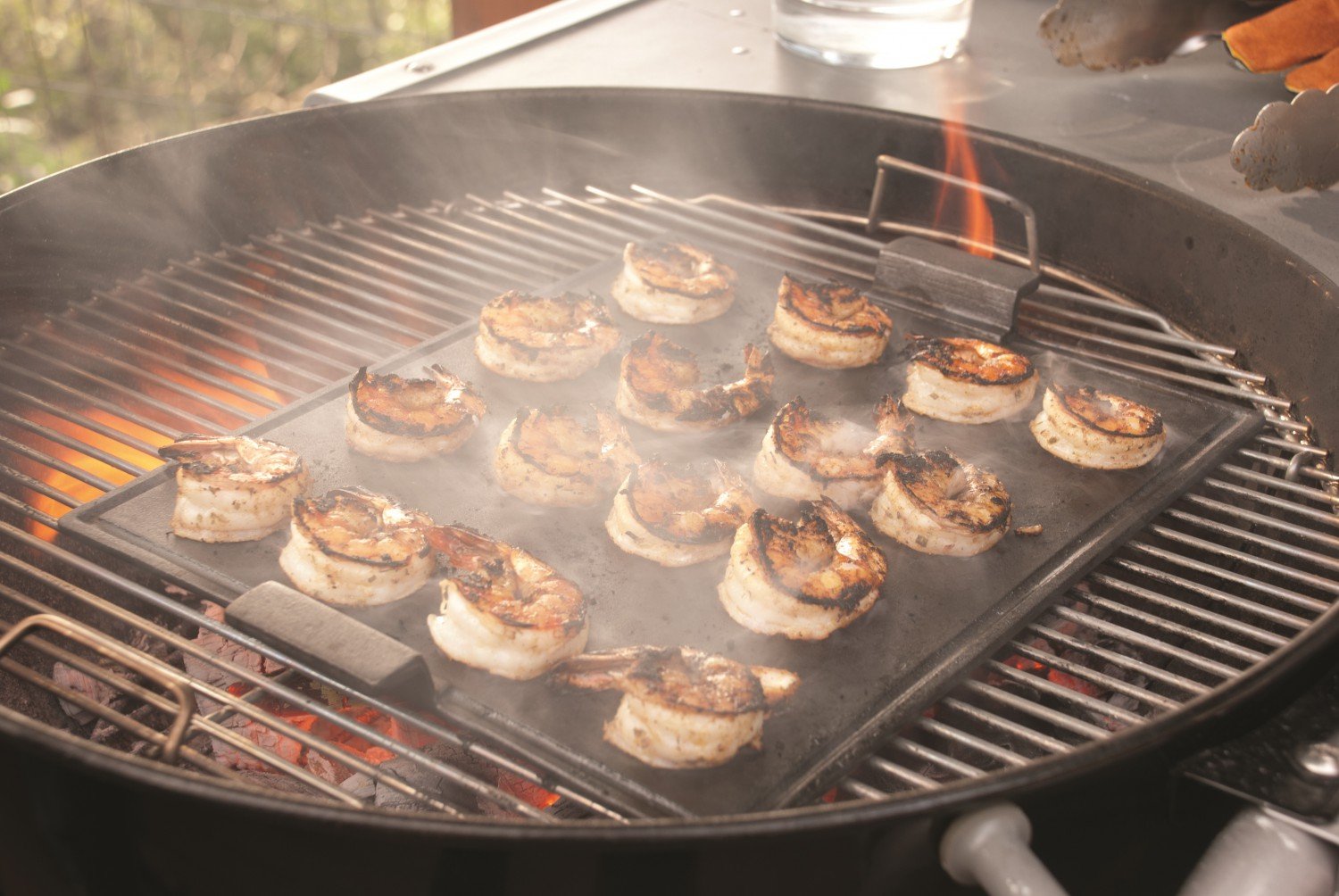 Steven Raichlen Signature Series SR8121 Cast Iron Grilling Plancha