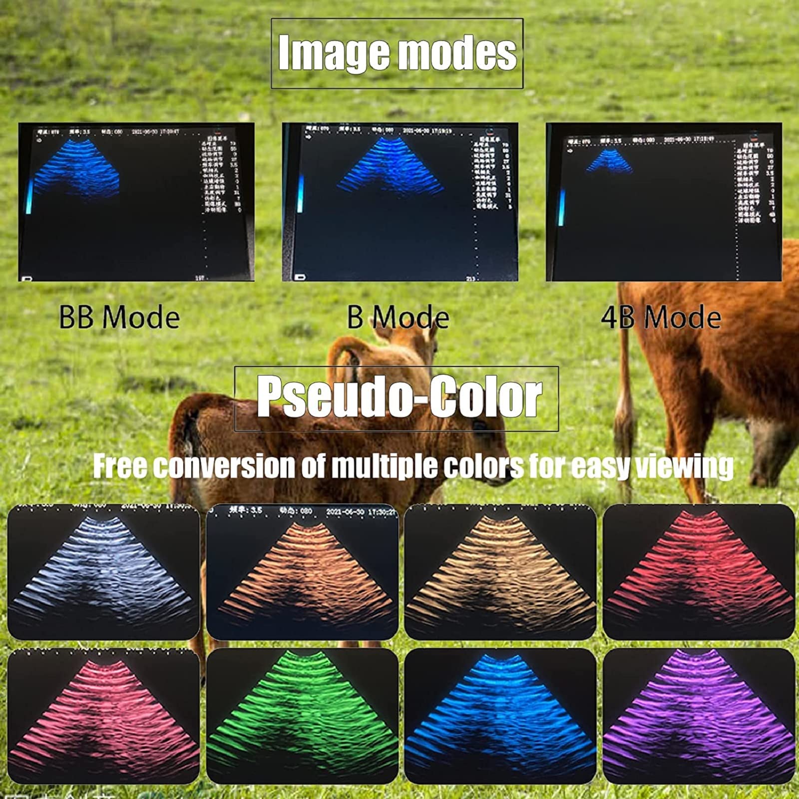 Pregnancy Test Ultrasound Scanner Veterinary Machine Portable B-Ultra Sound Scanner Farm Animals Pregnancy Mechanical Sector scanning Probe for Sheep, Pig Pregnancy Test
