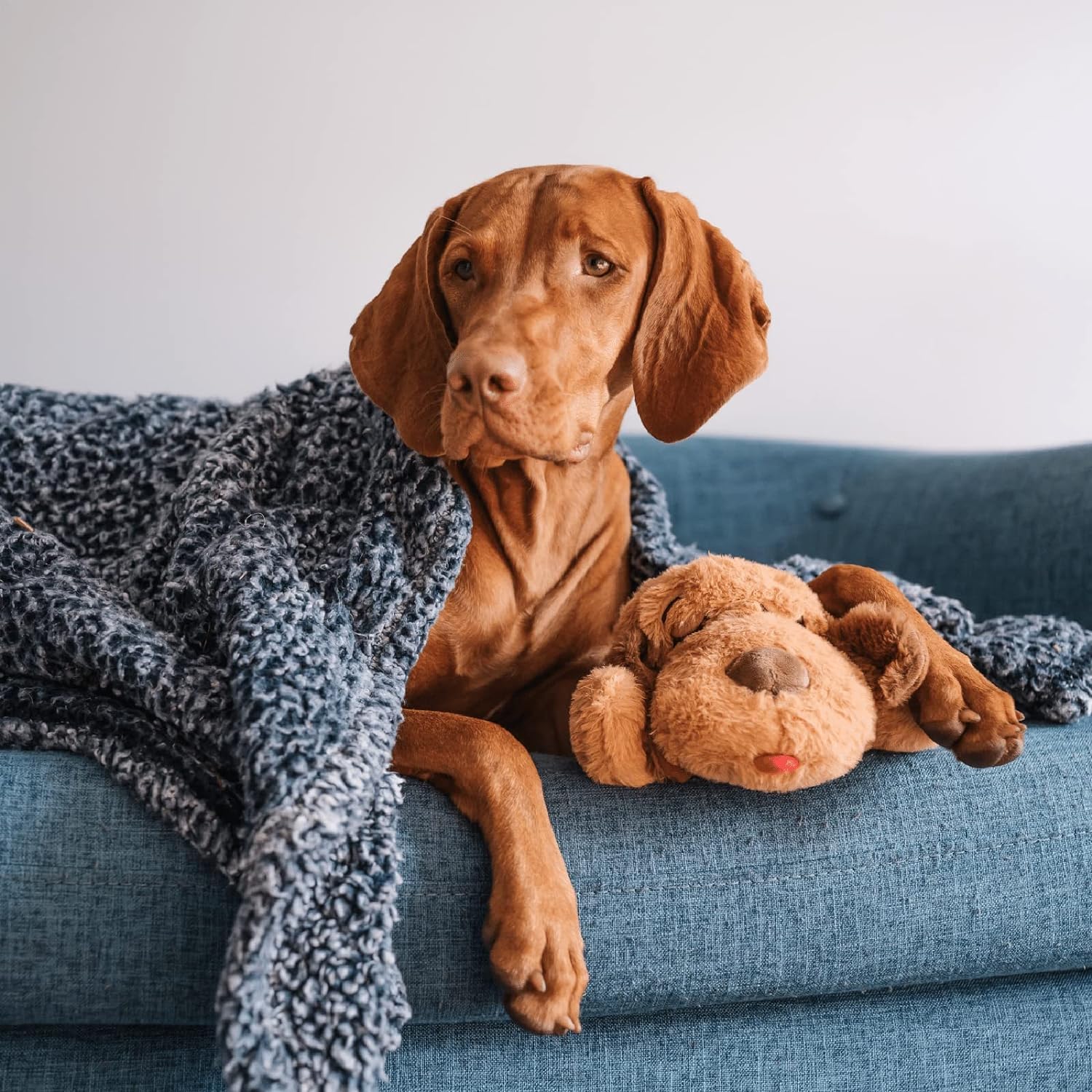 Snuggle Puppy Original Heartbeat Stuffed Toy for Dogs, Pet Anxiety Relief and Calming Aid Bundle with Puppy Bites Day Calm and Night Calm.