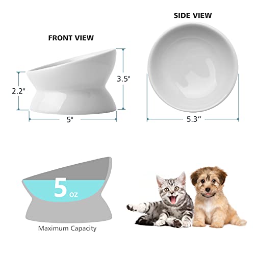 Nucookery Ceramic Cat Food Bowl Elevated,Raised Tilted Bowl Protect Pets' spines and Neck, Anti Vomiting Cat Bowl, Small Dog cat Kitten Supplies (5β, Pure White)
