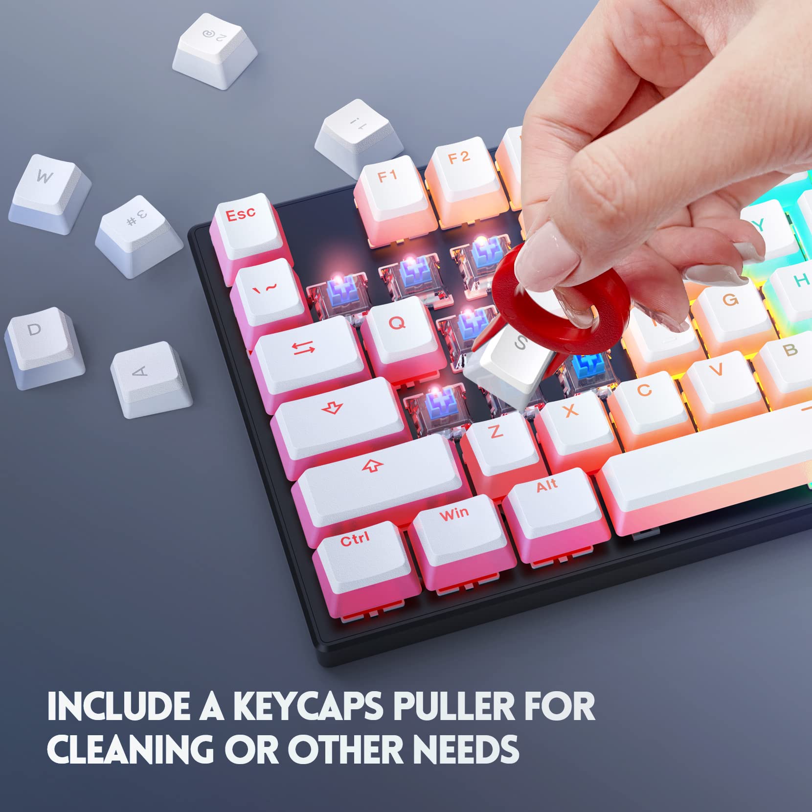 RisoPhy Pudding Keycaps Double Shot PBT Keycap Set for Mechanical Keyboard,OEM Profile with Keycap Puller,Compatible with 104 Keys Full Size,80%,75%,60% Percent Keyboard-White