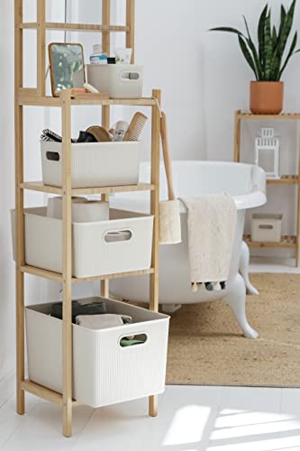 Tatay Storage Box Baobab ECOHOME, 22L Capacity, Polypropylene BPA free, 100% Recycled Material. Measures 29.4 x 38.5 x 23 cm