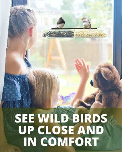 Nature's Envoy Window Bird Feeder β Clear View for Birdwatching - Strong Suction Cups for Outside - Slide Out Seed Tray w/Drain Holes for Easy Refill & Clean - Acrylic Outdoor Feeder for Wild Birds