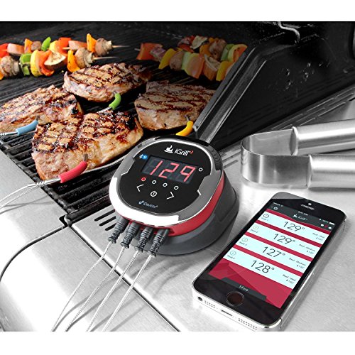 Meat Probe for Weber iGrill (Pack of 2)