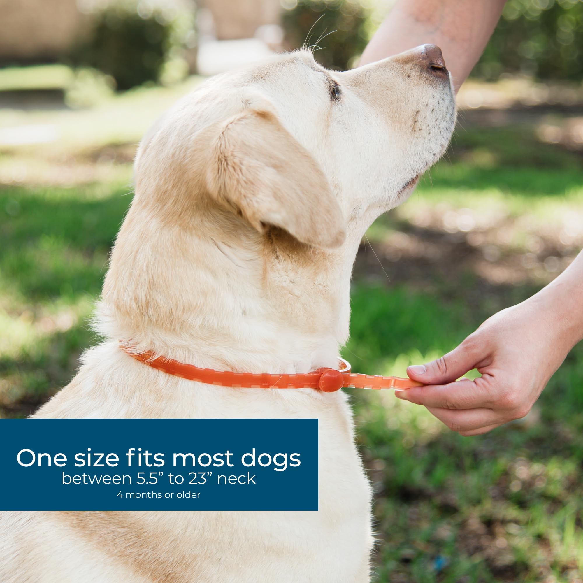 Wondercide Dog Collar - Flea, Tick, and Mosquito Repellent, Prevention for Dogs - with Natural Essential Oils - Pet and Family Safe - Up to 4 Months Protection