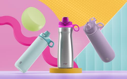 Pogo Active Stainless Steel Insulated Water Bottle with Leak Proof Straw Lid, 18oz, Frost