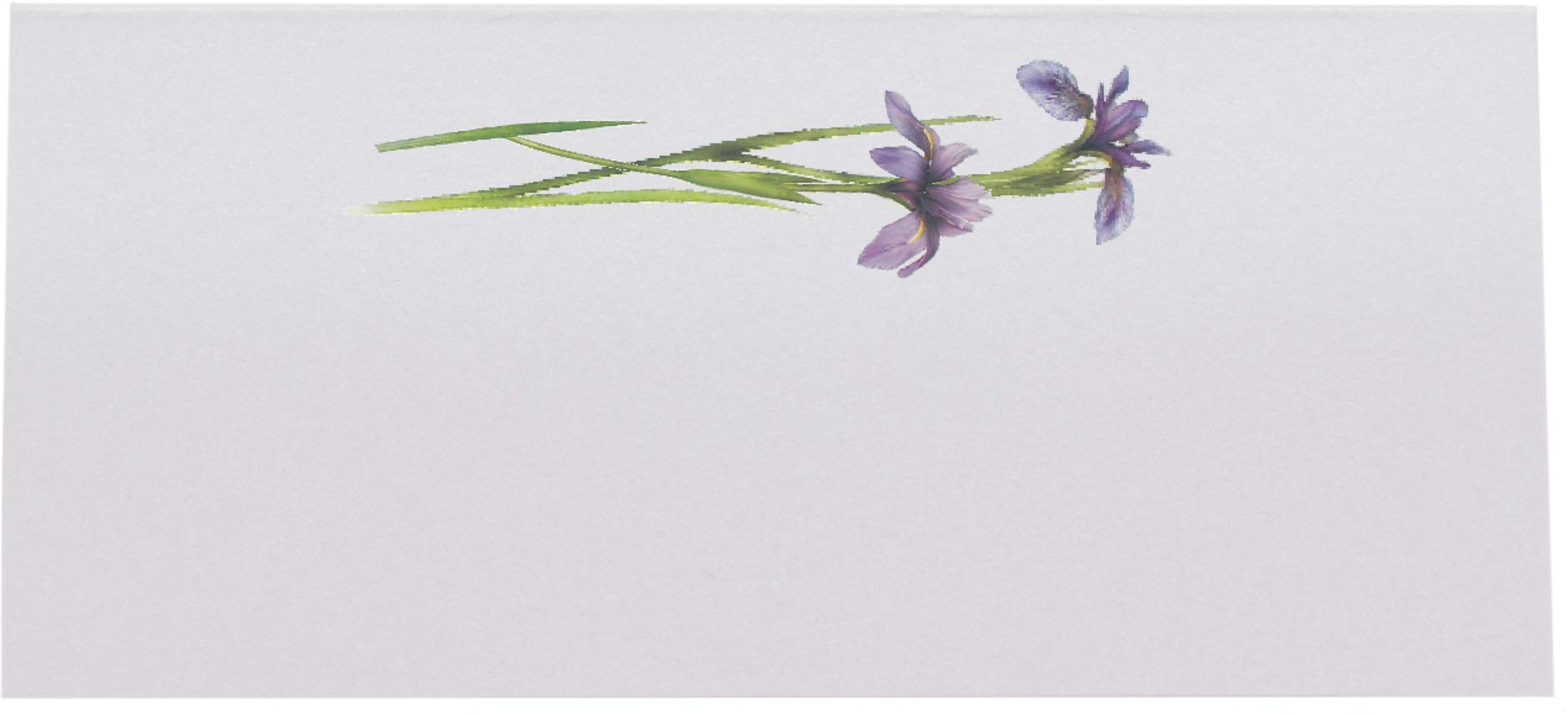 Wispy Purple Iris Flowers Place Cards, Set of 25, Pre-cut and Scored - Wedding, Party, Dinner, and Special Events - Made in the USA