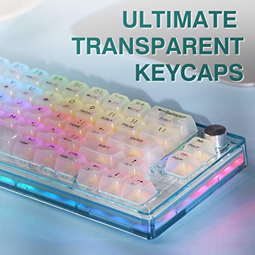 MechLands MC66 65% Hot Swap Programmable RGB 2.4Ghz/ Bluetooth/USB-C Wireless Gaming Keyboard with Double Sound Absorbing Silicone Pad, 4000mAh Battery for Win/MAC/iOS(White, Flamingo Switch)