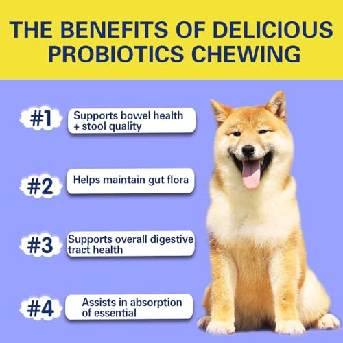 SMASUPT Probiotic Chews for Dogs, 120 Soft Chews, 10.58 oz, Gut Health, Digestive Health, Immune System + Probiotic Drops