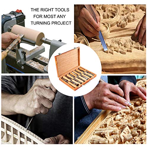 Mophorn Wood Chisel Sets 12pcs,Wood Carving Hand Chisel 3-3/4Inch Blade Length,Woodworking Chisels with Red Eucalyptus Handle,Wood Tool Box,for Wood Carving Root Carving Furniture Carving Lathes