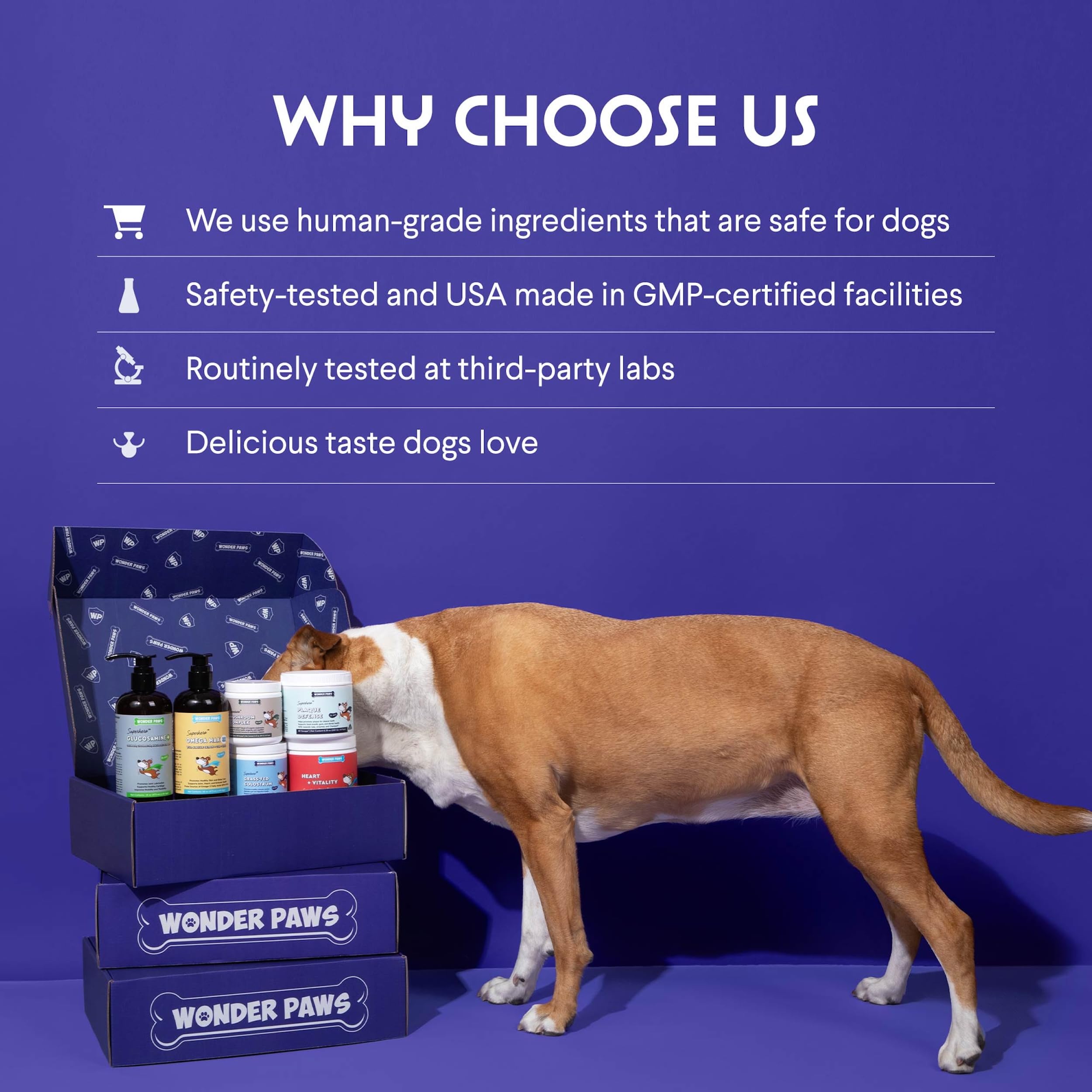 WONDER PAWS Hip and Joint Supplement for Dogs - Glucosamine for Dogs, Chondroitin for Joints, Mobility for Pets β Hip & Joint Chews β Turmeric, Collagen & MSM β Hips, Bones & Cartilage β 90 Soft Chews