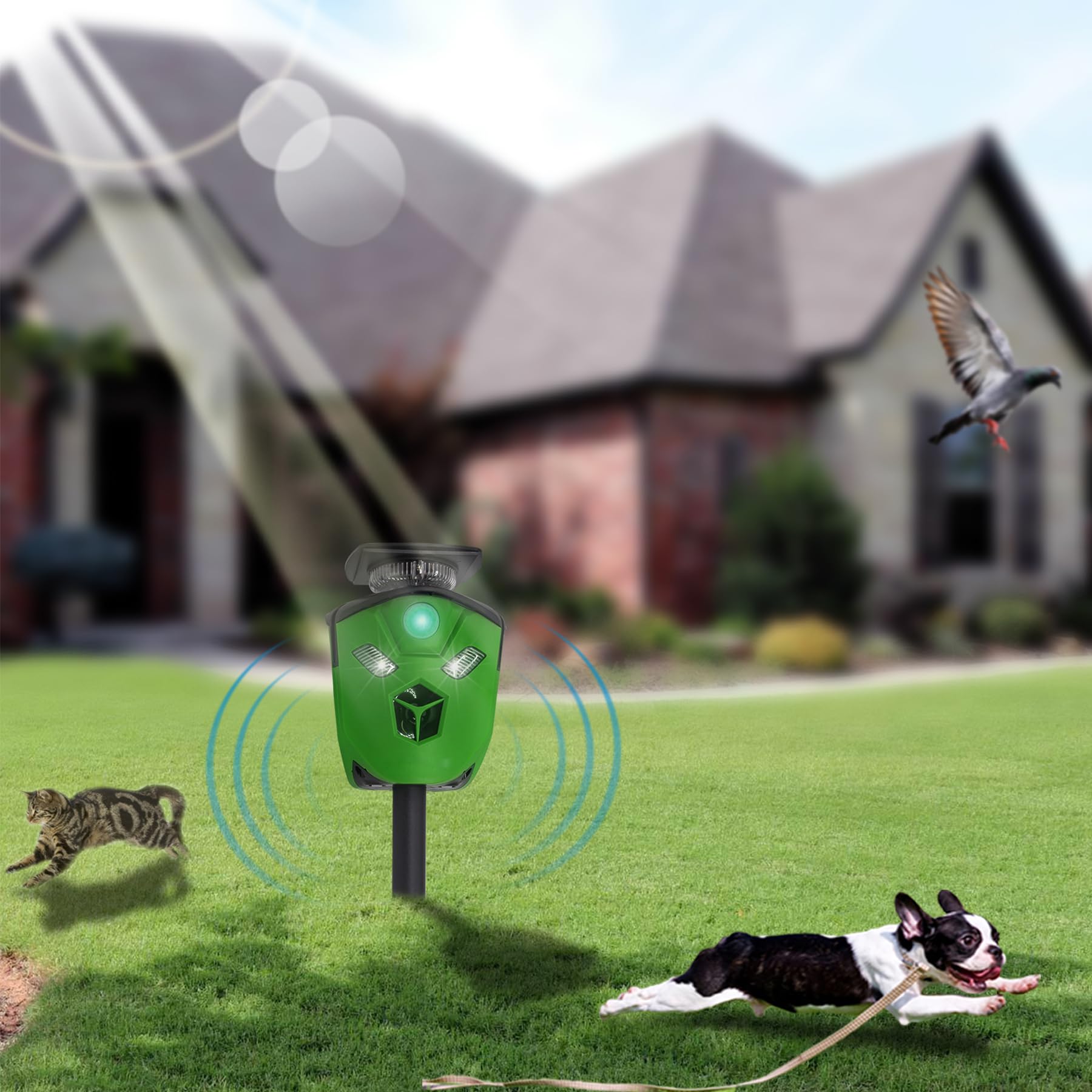 Solar Powered Ultrasonic Animal Repellent 360° Squirrel Repeller Outdoors Deer Repeller Smart Dog Cat Deterrent with Motion Sensor White Flashing Light Coyote Fox Raccoon for Yard Garden Farm