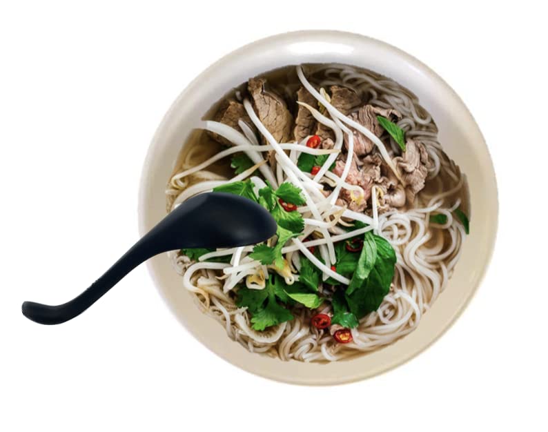 Lucky Star Melamine Japanese Ramen Vietnam Pho Noodle Soup Serving Spoons Utensil, 6.5” Length, Black (48)