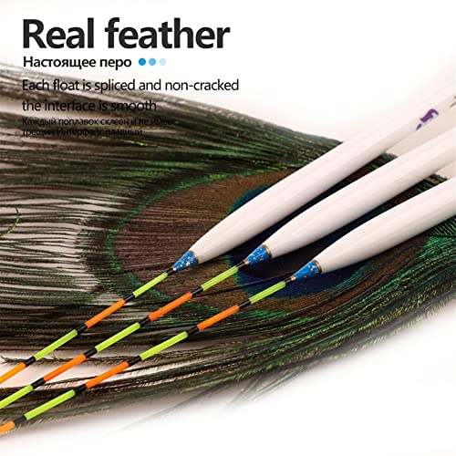 MILiG Fishing Bobbers Sensitive Feather Float Vertically Stable Durable Fishing Tool 1 Piece Bobber + 1 Float + 1 Bag Hook (Color : E001 Size3 1piece)