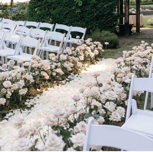 JUPOZOP 1000 PCS Artificial Fake Rose Petals for Wedding, Romantic Night for Her/Him Set, Engagement, Flower Decorations, Event, Party, in Bulk(Ivory)